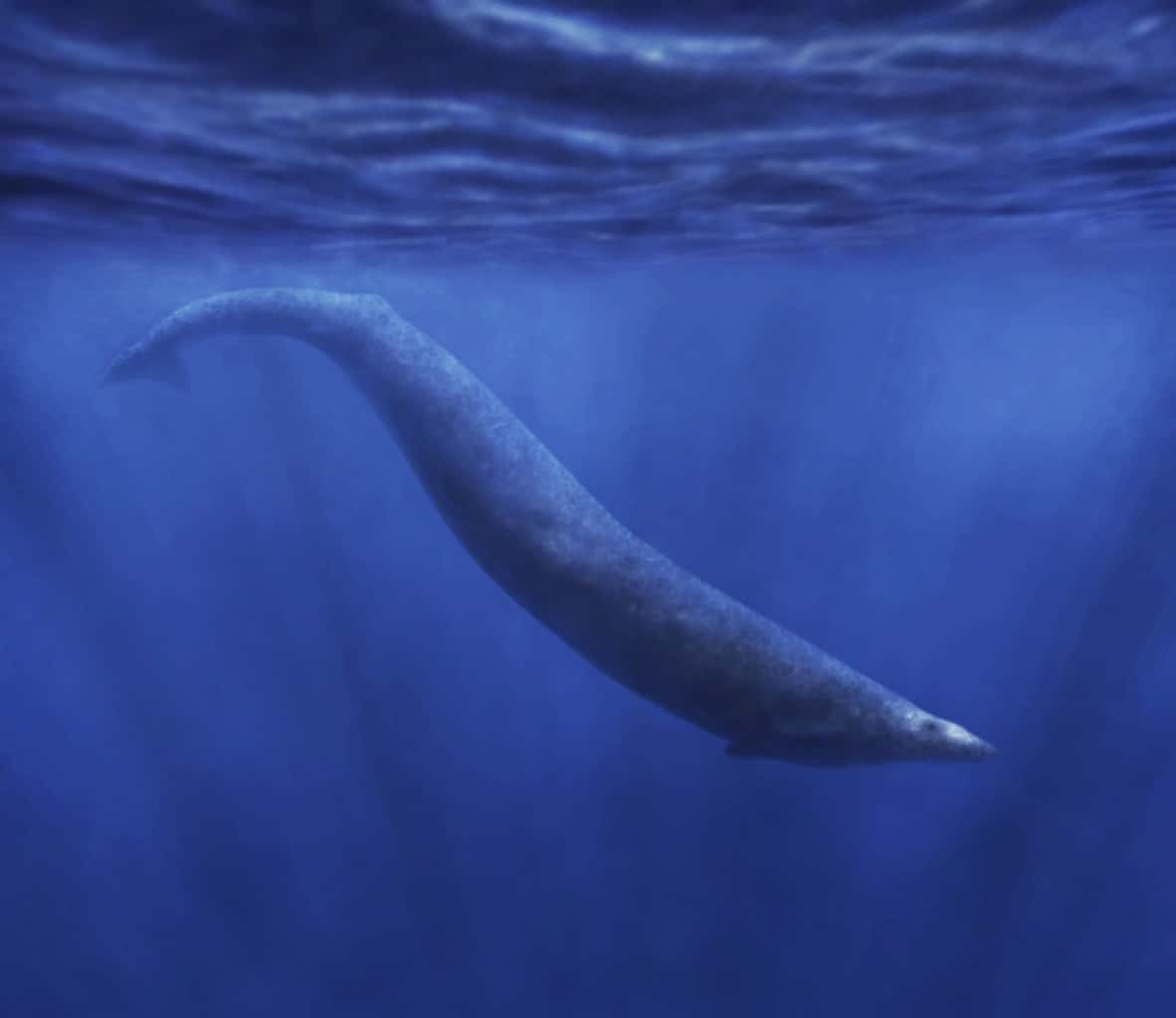 This 70-foot predator eel feasted on whales