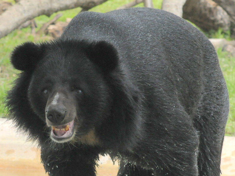 15 things you should know before hiking around wildlife