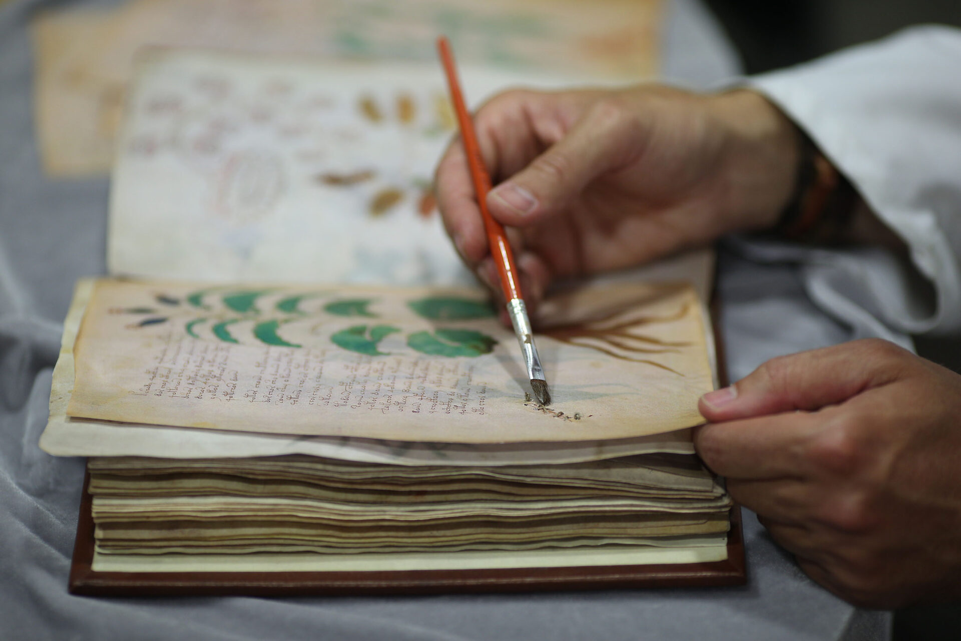 El misterio en torno al manuscrito Voynich, el libro indescifrable