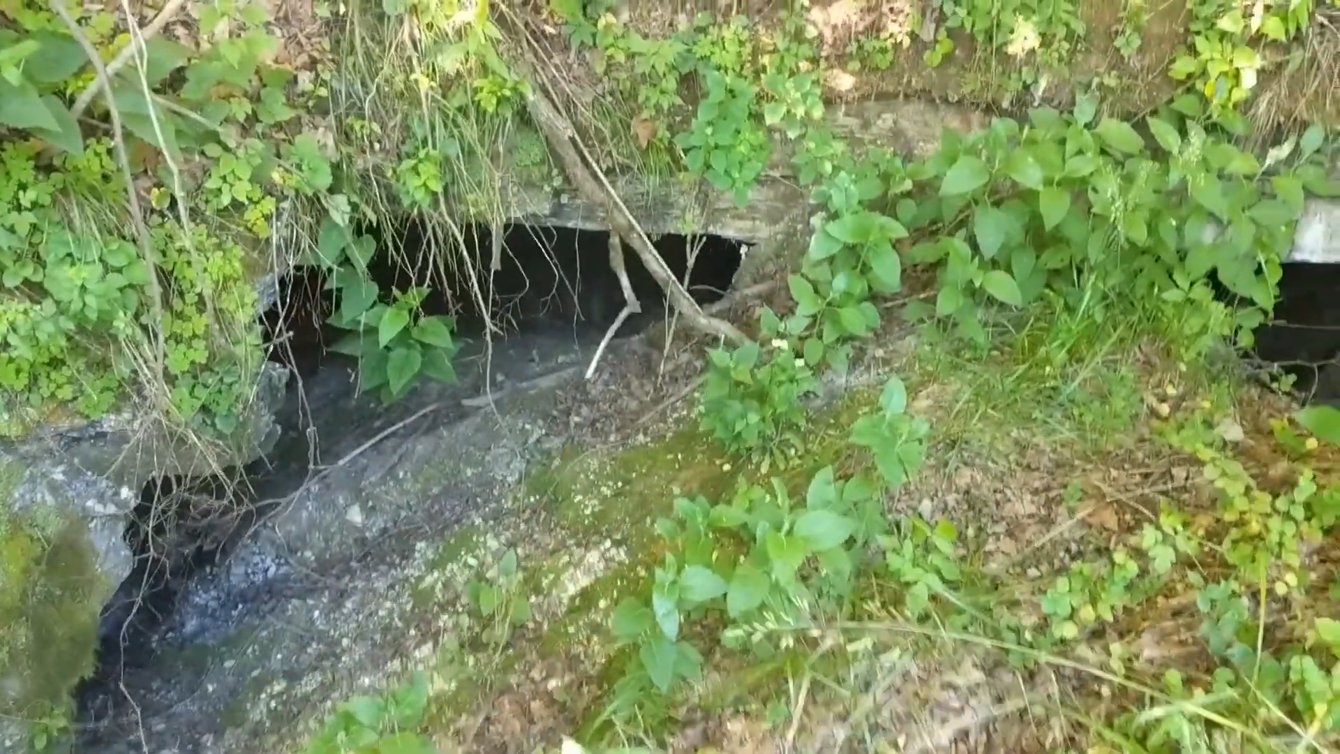 They saw a small crack in the rock and a mine opened up