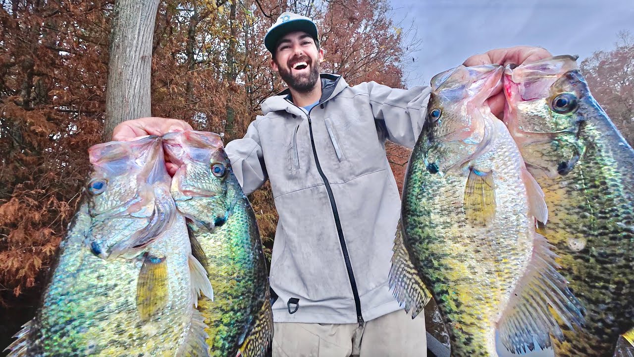 Massive Slabs Found Living Deep Within a Remote Swampy Lake
