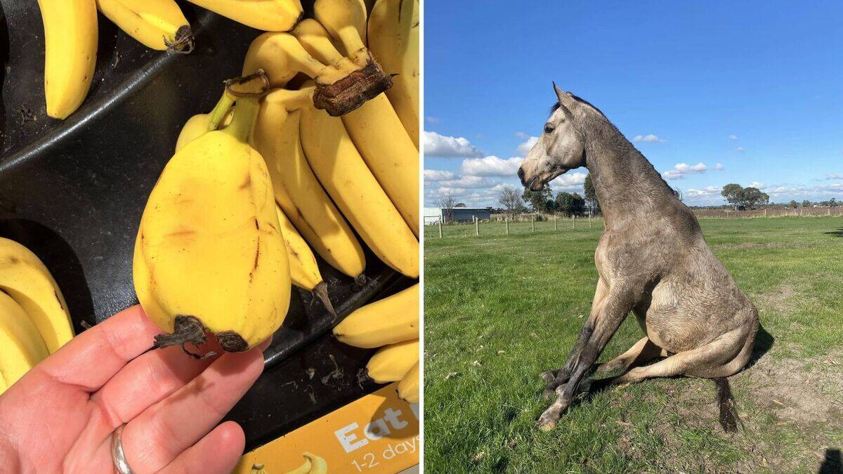 17 photos shared online of life's rare moments