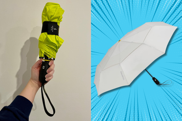 I was skeptical about the price of this umbrella — until it saved me in ...