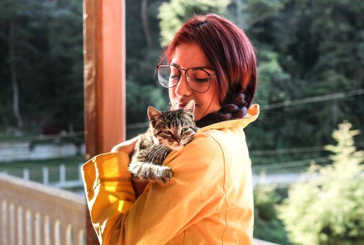 10 things to know when adopting a stray cat