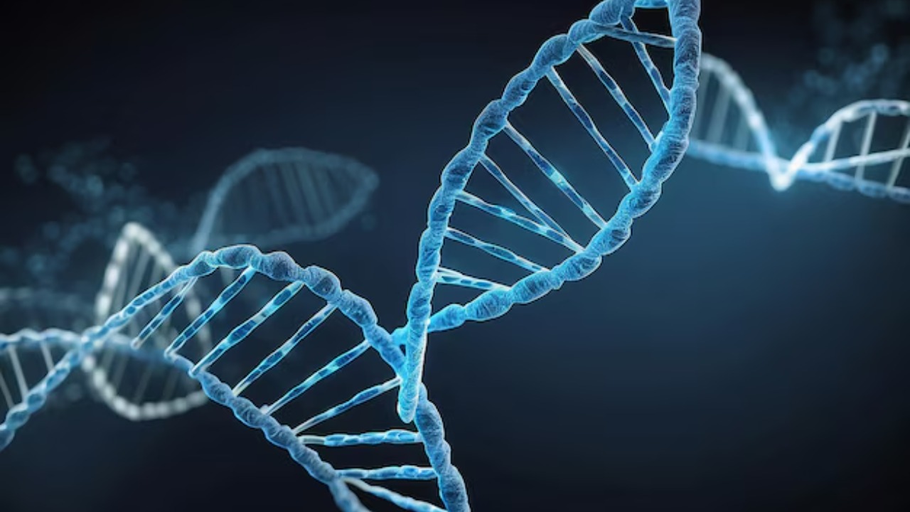 US scientists unveil 1st rewritable DNA hard drive for data storage