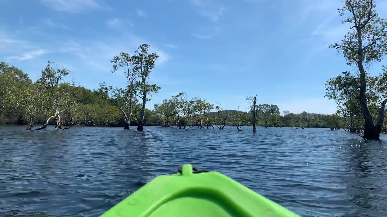 Holidaymaker enjoys serene lake view during morning kayak trip