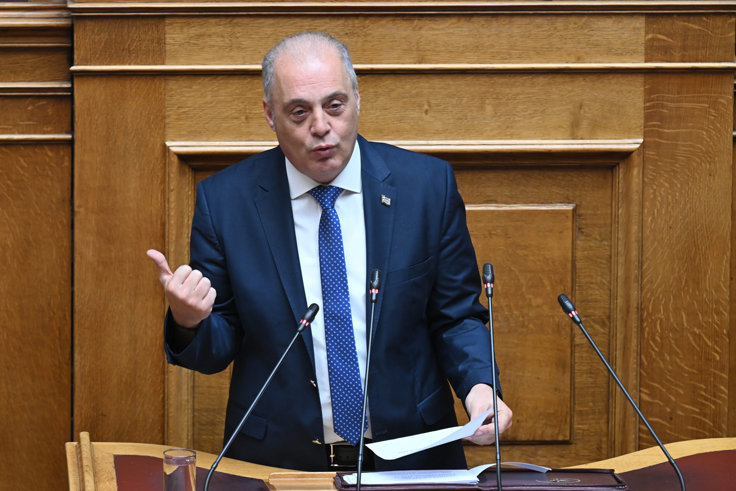 Βελόπουλος: Η ψεύτικη «κόντρα» μεταξύ ΝΔ και ΠΑΣΟΚ θυμίζει τη νύφη που ...