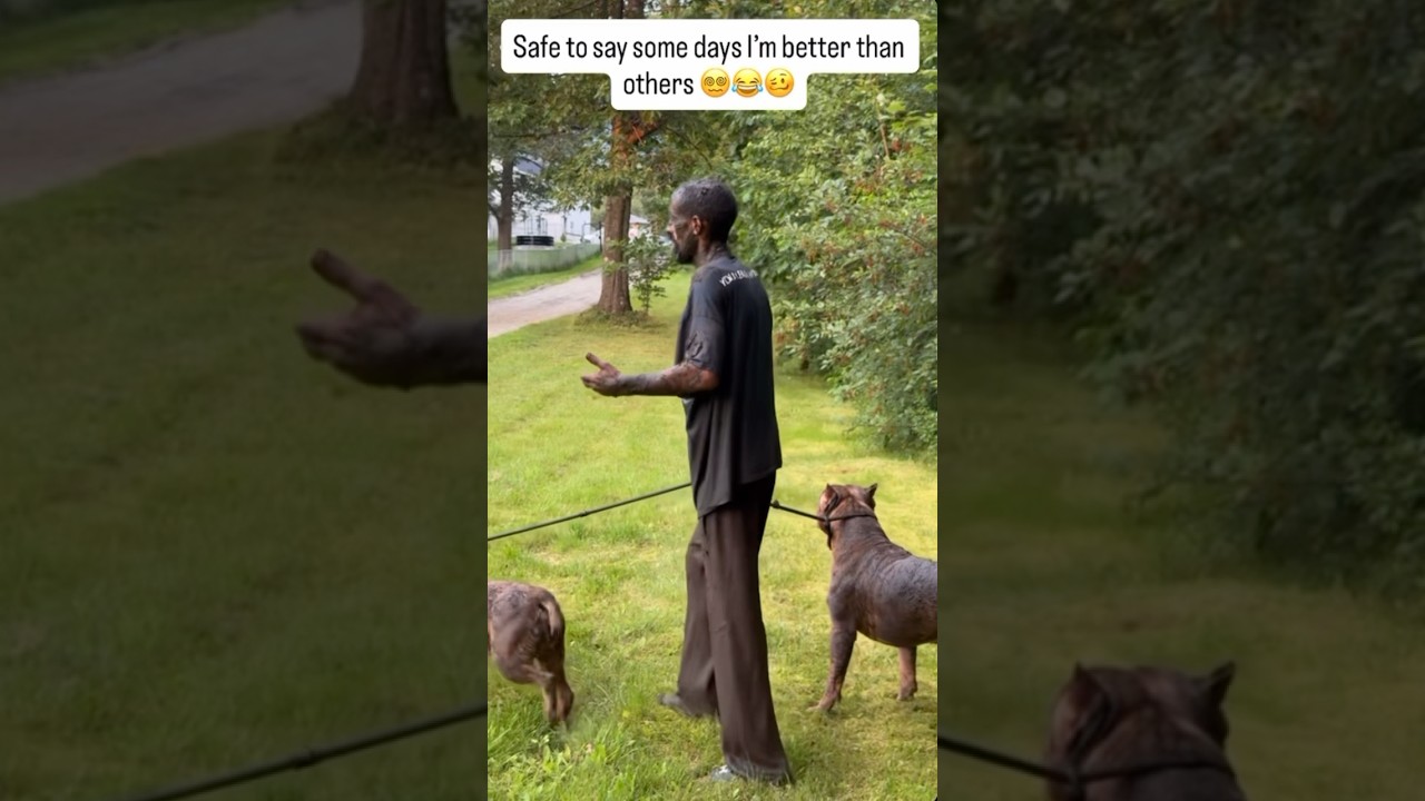 Fatherhood looks different when you are a 170-pound dog