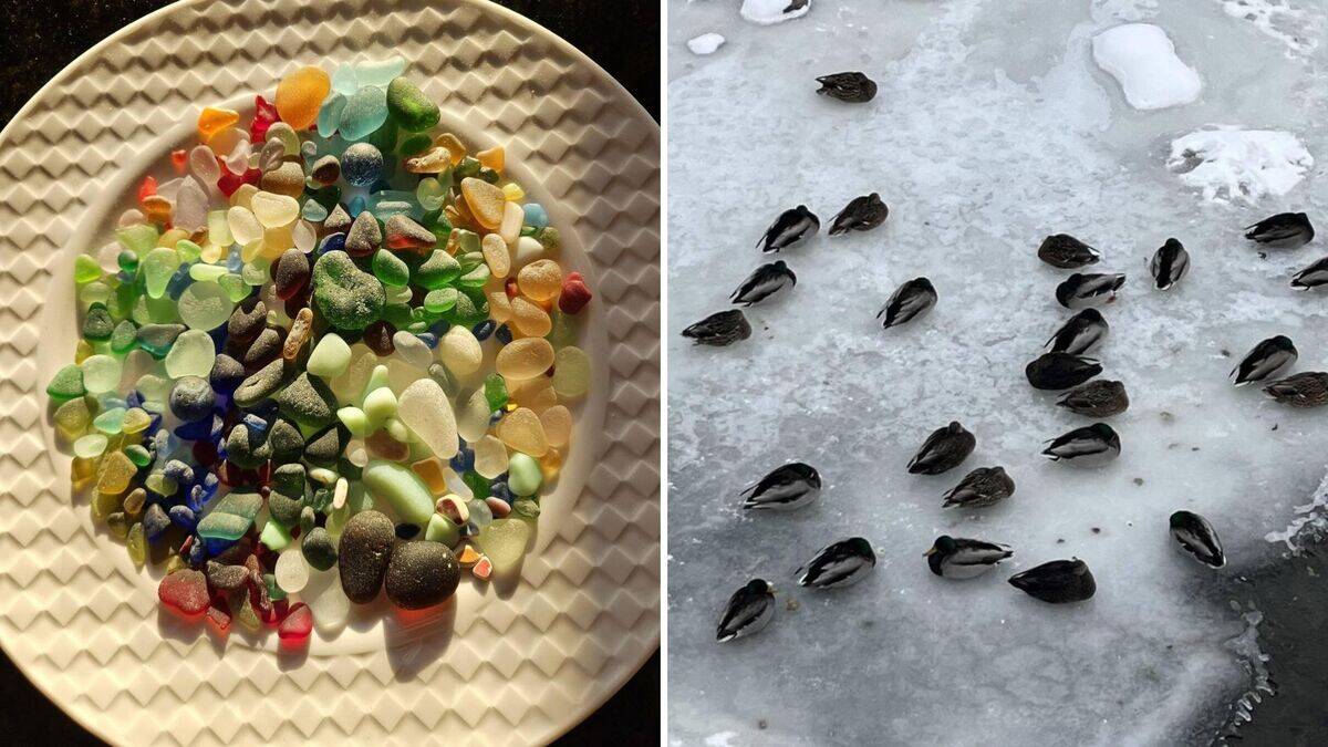 18 times when regular things looked exactly like food