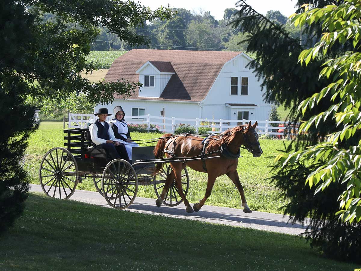 Fascinating details about the Amish lifestyle that outsiders rarely get ...