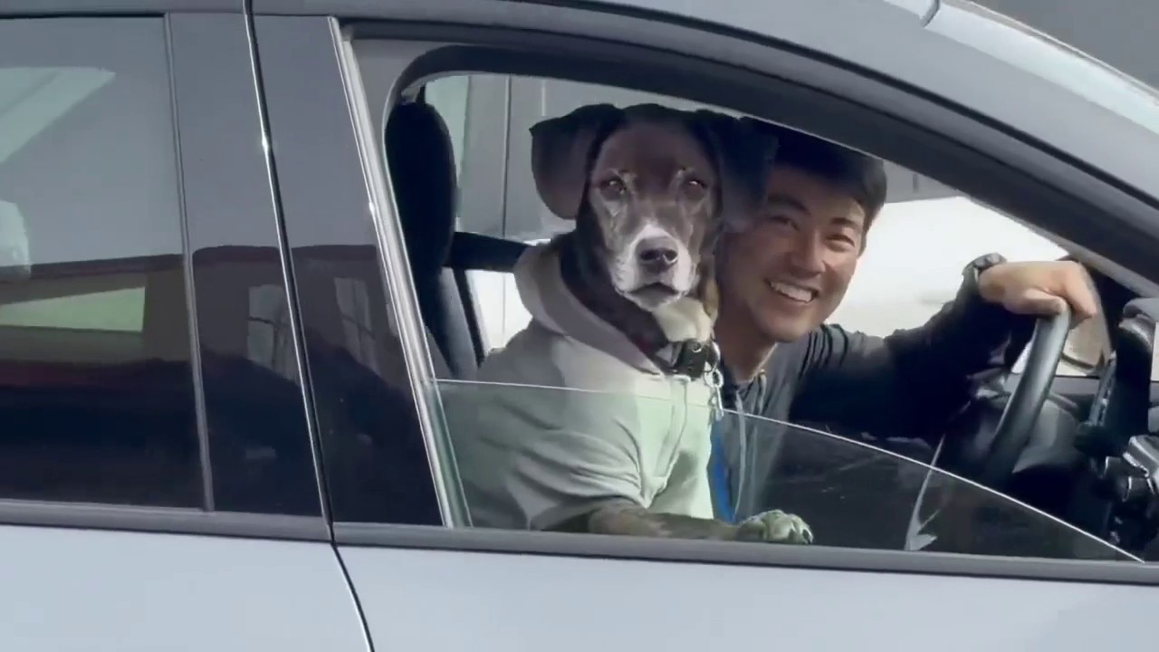 Rocky the dog reunited with owner after 43 days lost roaming Colorado ...