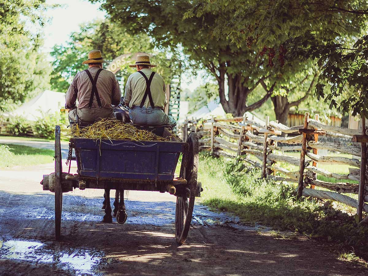Fascinating details about the Amish lifestyle that outsiders rarely get ...