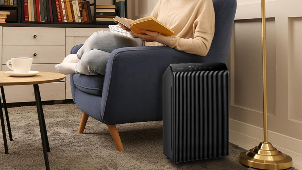 Best pollen air purifiers: Help control your allergies