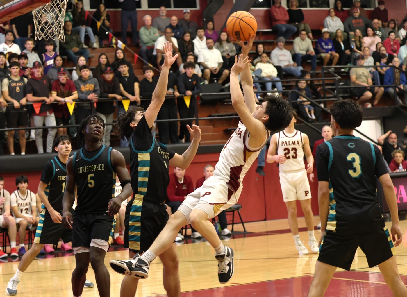 CIF boys basketball: Harreld, Suich carry Palma past Christopher