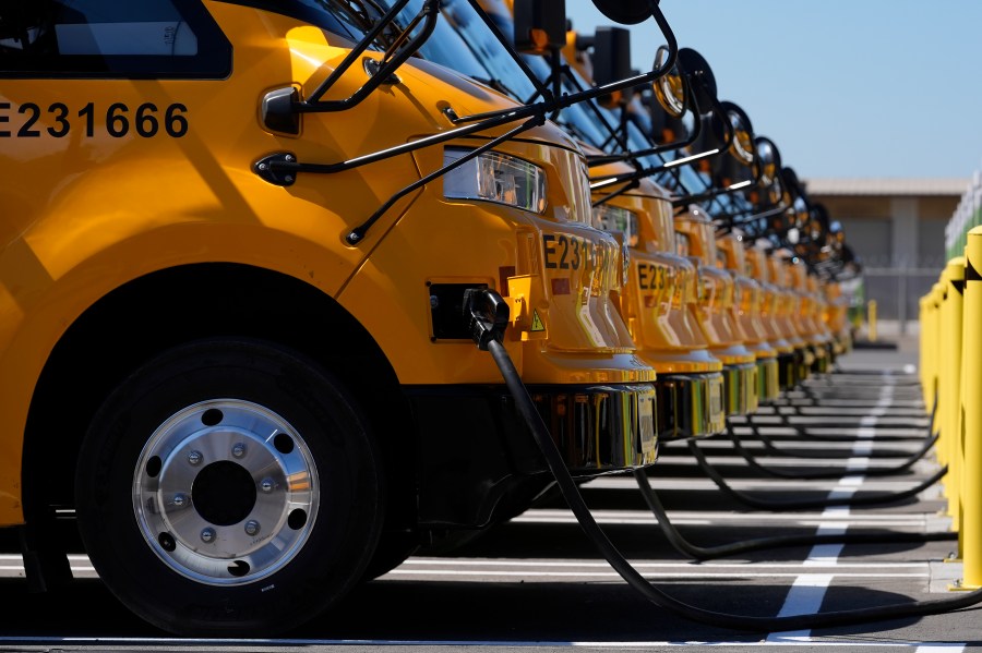 'Impractical': Naples CSD addresses electric bus challenges