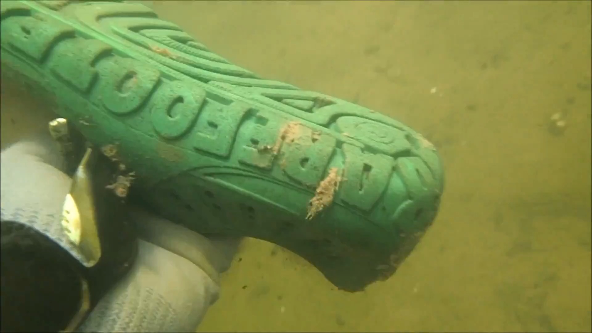That's a croc! - The river moment that stopped me cold