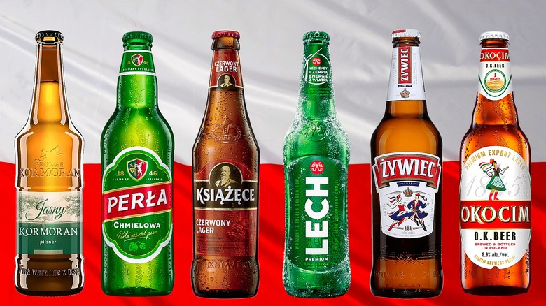 12 Polish beers you should try at least once