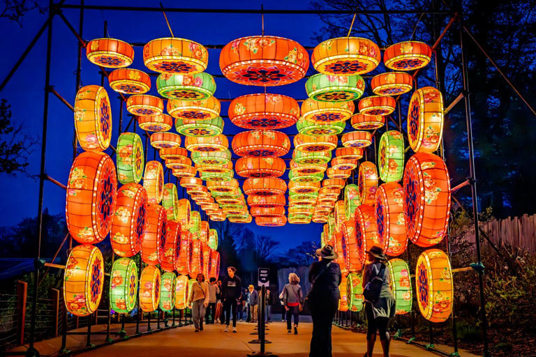 John Ball Zoo announces 2026 Grand Rapids Lantern Festival theme