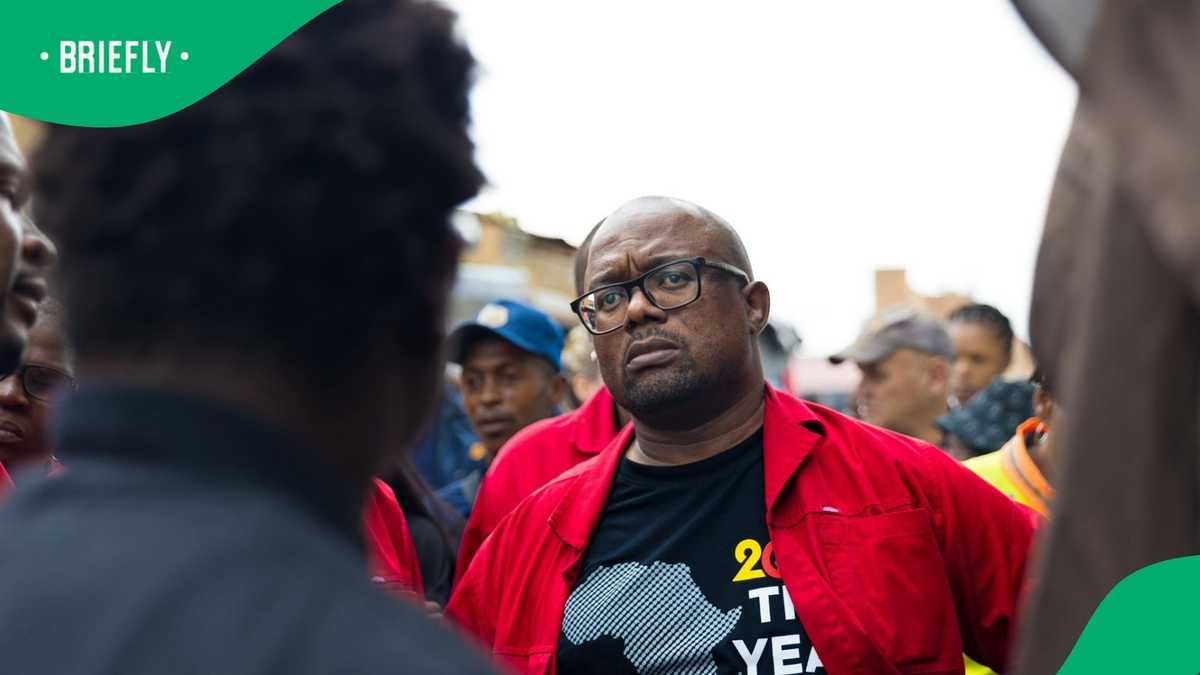 Johannesburg MMC Dr. Mgcini Tshwaku denies that Alexandra pimp held him ...
