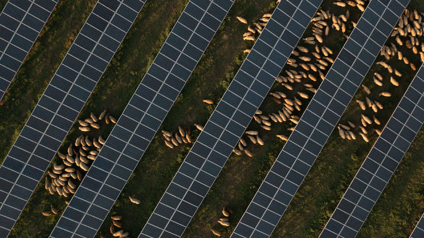 Toyo signs $185.6m solar module supply deals with US operators
