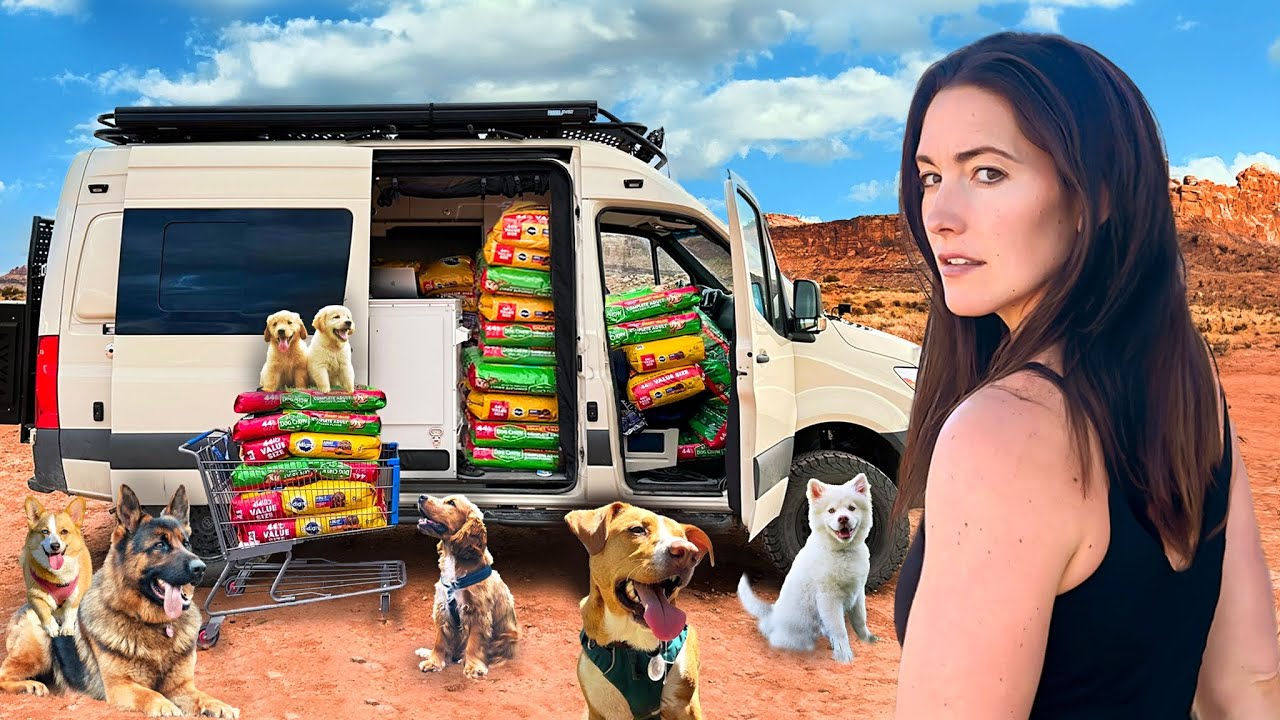 How moving into my car changed my life & helped thousands of others