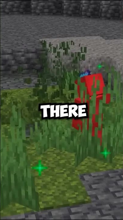 Why I use moss to find diamonds