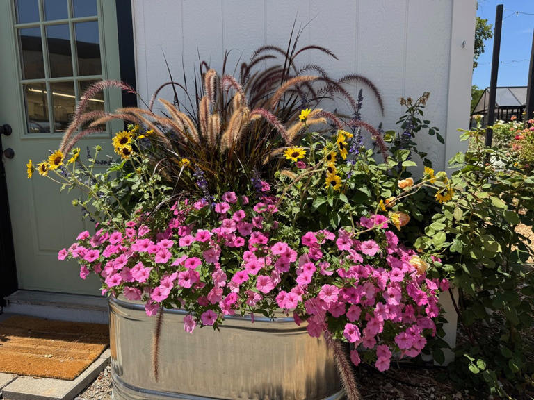 7 plants gardening pros predict will be all the rage in 2026