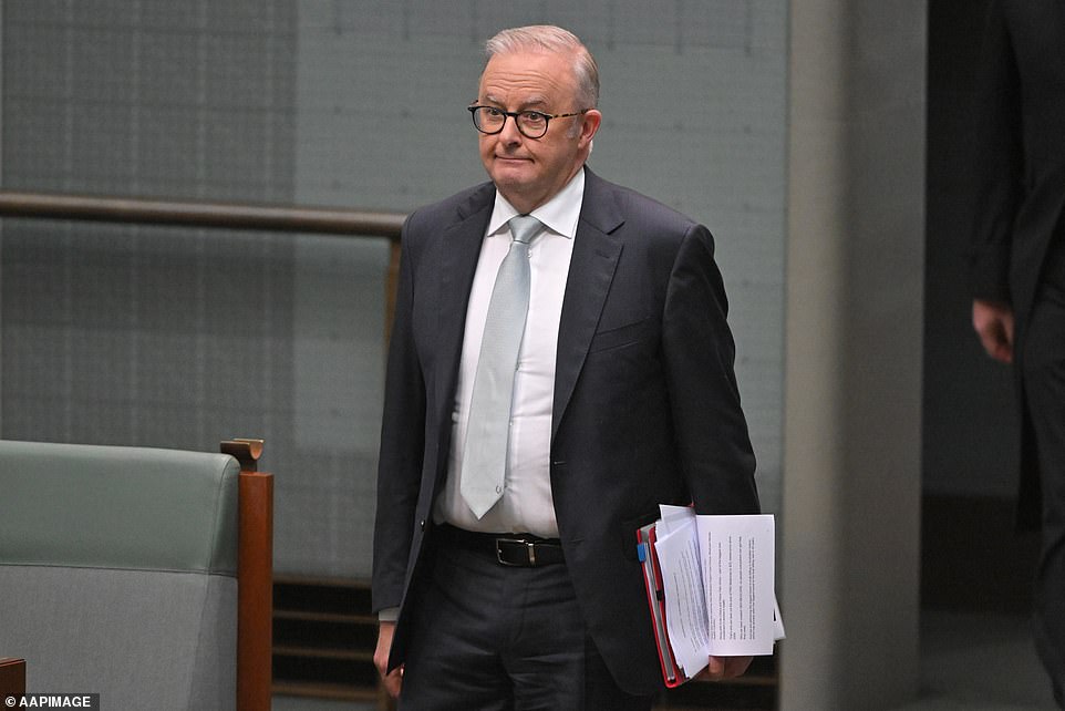 Grace Tame reveals why she thinks Albo called her 'difficult'