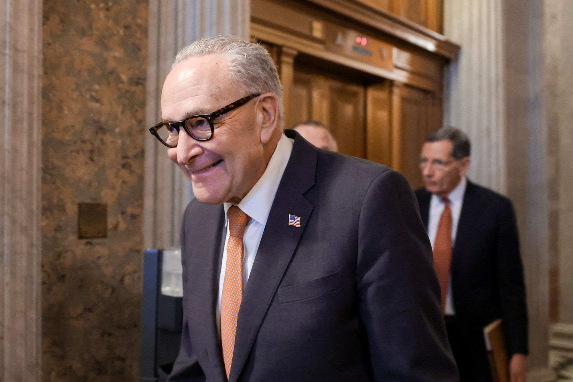 How ‘watermelon’ radicals made Democrats the party of appeasement