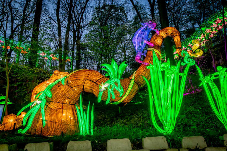 John Ball Zoo announces 2026 Grand Rapids Lantern Festival theme