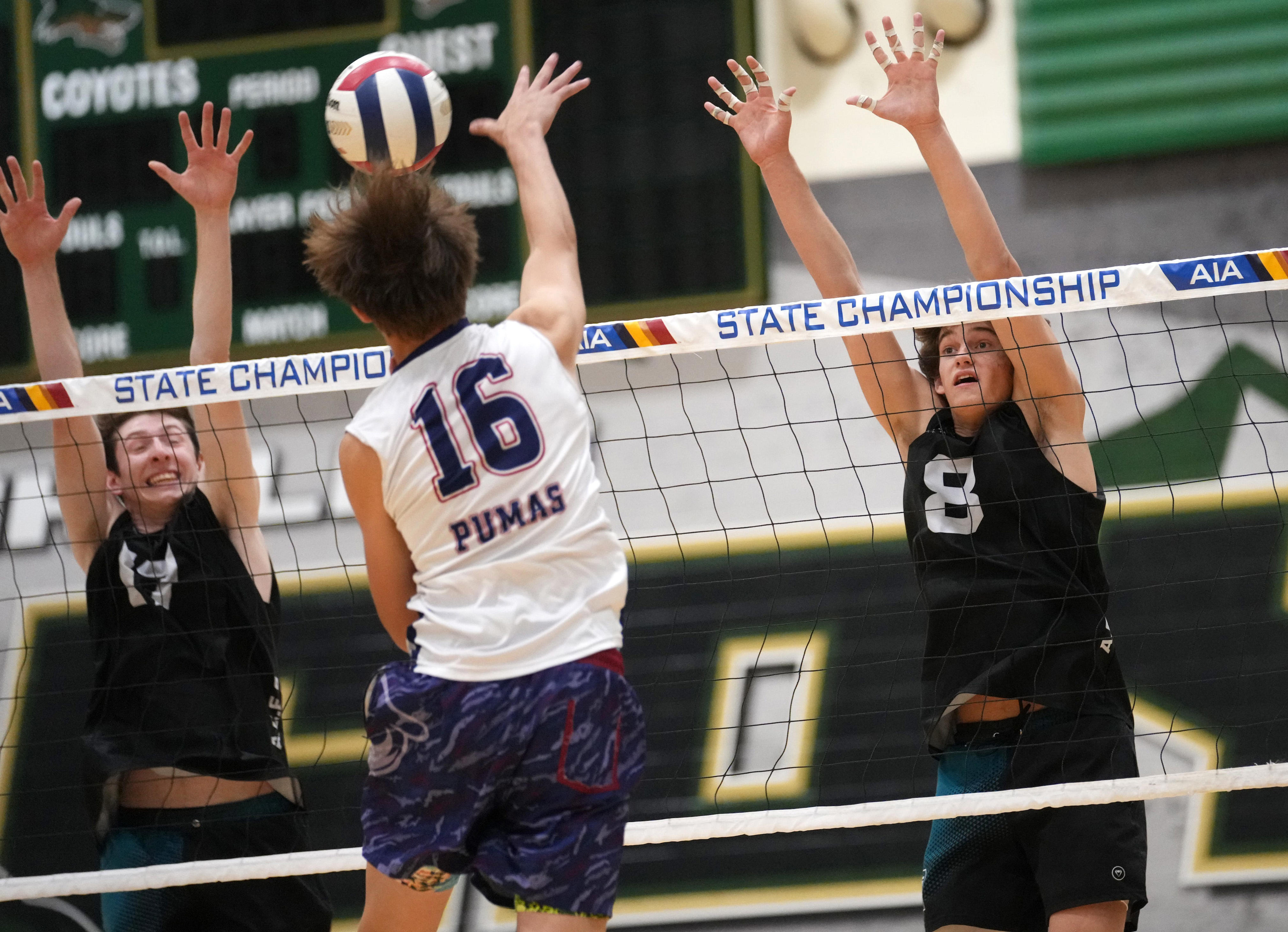 Vote for best Arizona high school boys volleyball team to start season