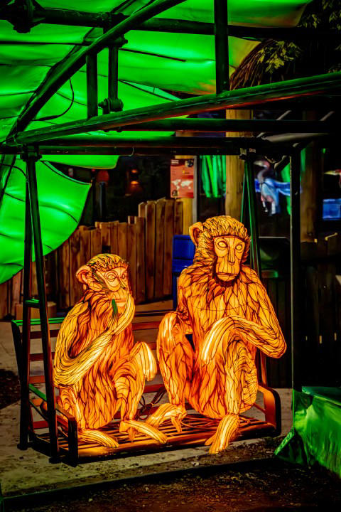 John Ball Zoo announces 2026 Grand Rapids Lantern Festival theme