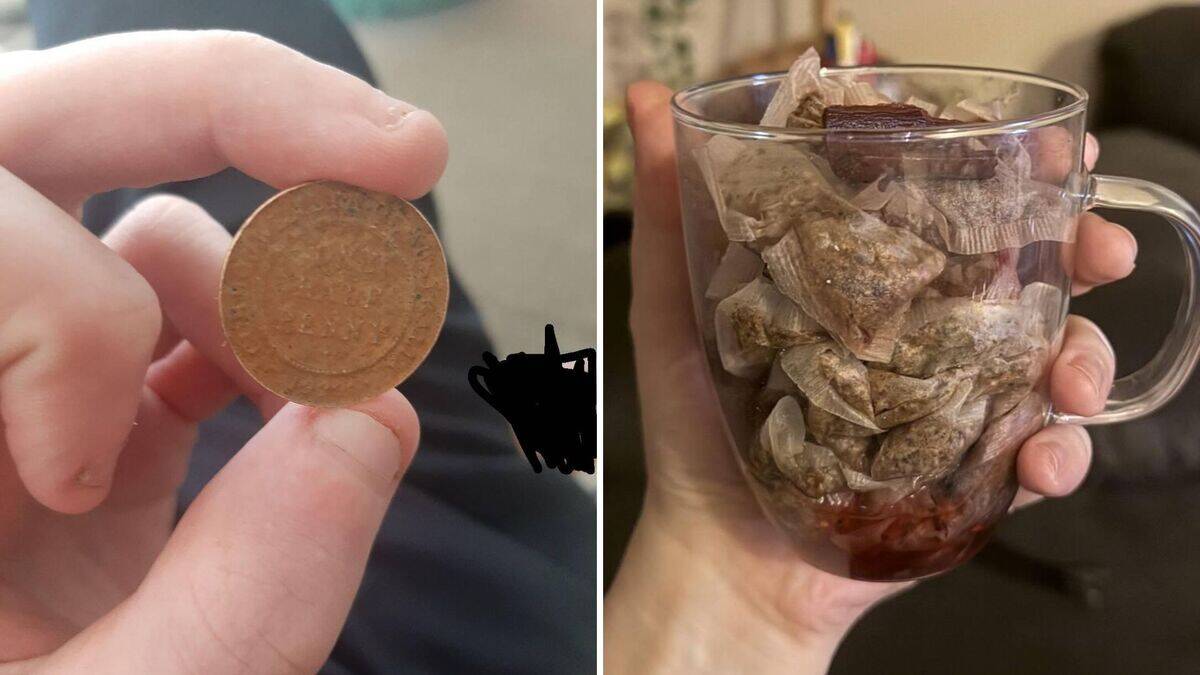 Mildly interesting photos people posted for the rest of us to see