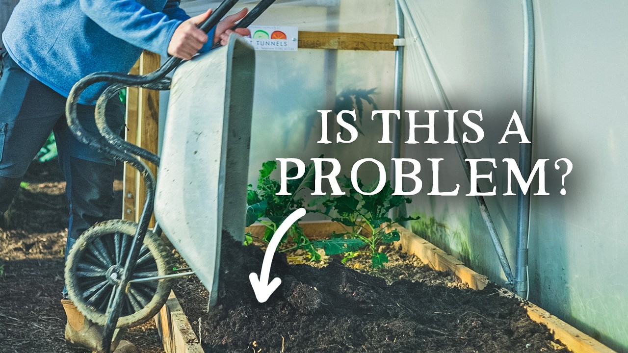 I learned why compost isn't enough for soil