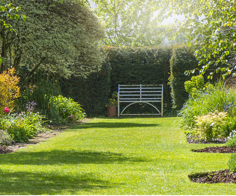 The one gardening task to delay until after the heatwave for a vibrant ...