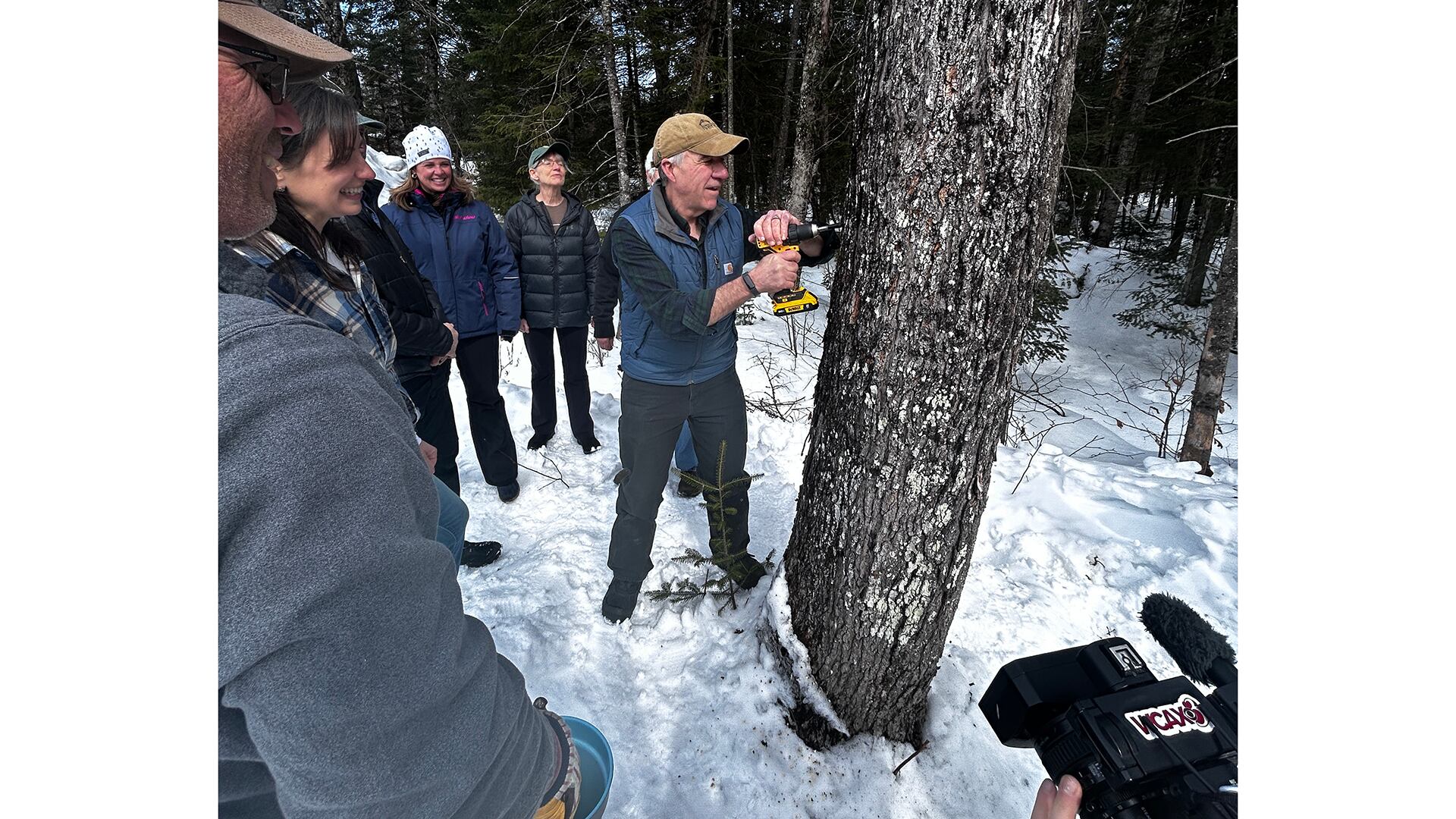 Governor taps tree to mark symbolic start of Vt. maple sugaring season