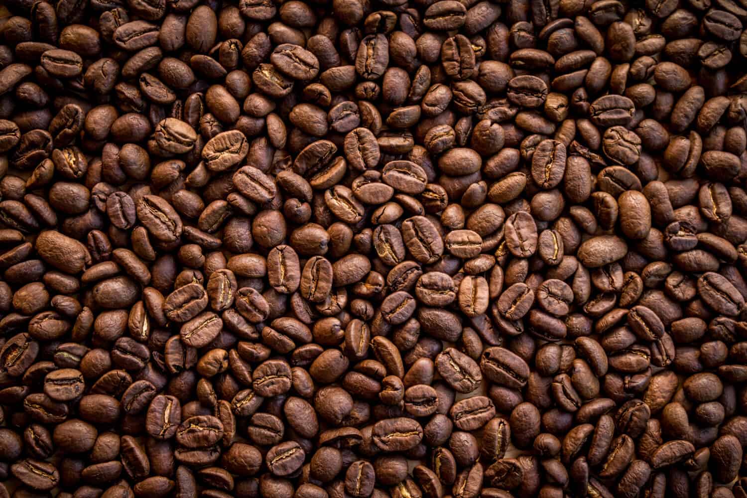 As a busy mom, I avoid all coffee brands except these 5