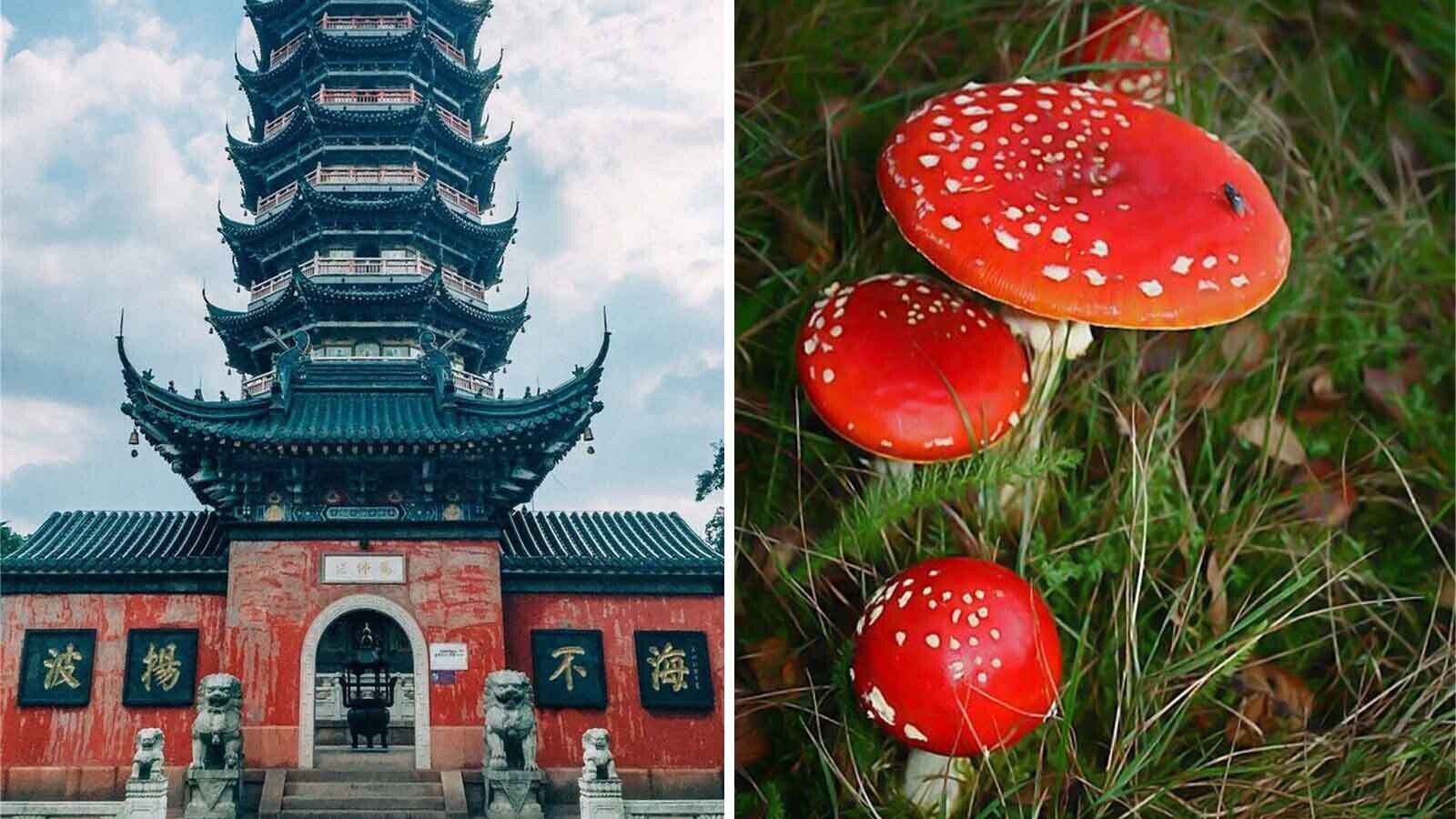 15 fun facts nobody knows they don't know