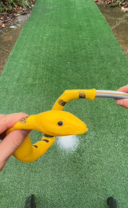 This snake flooded my garden and exploded