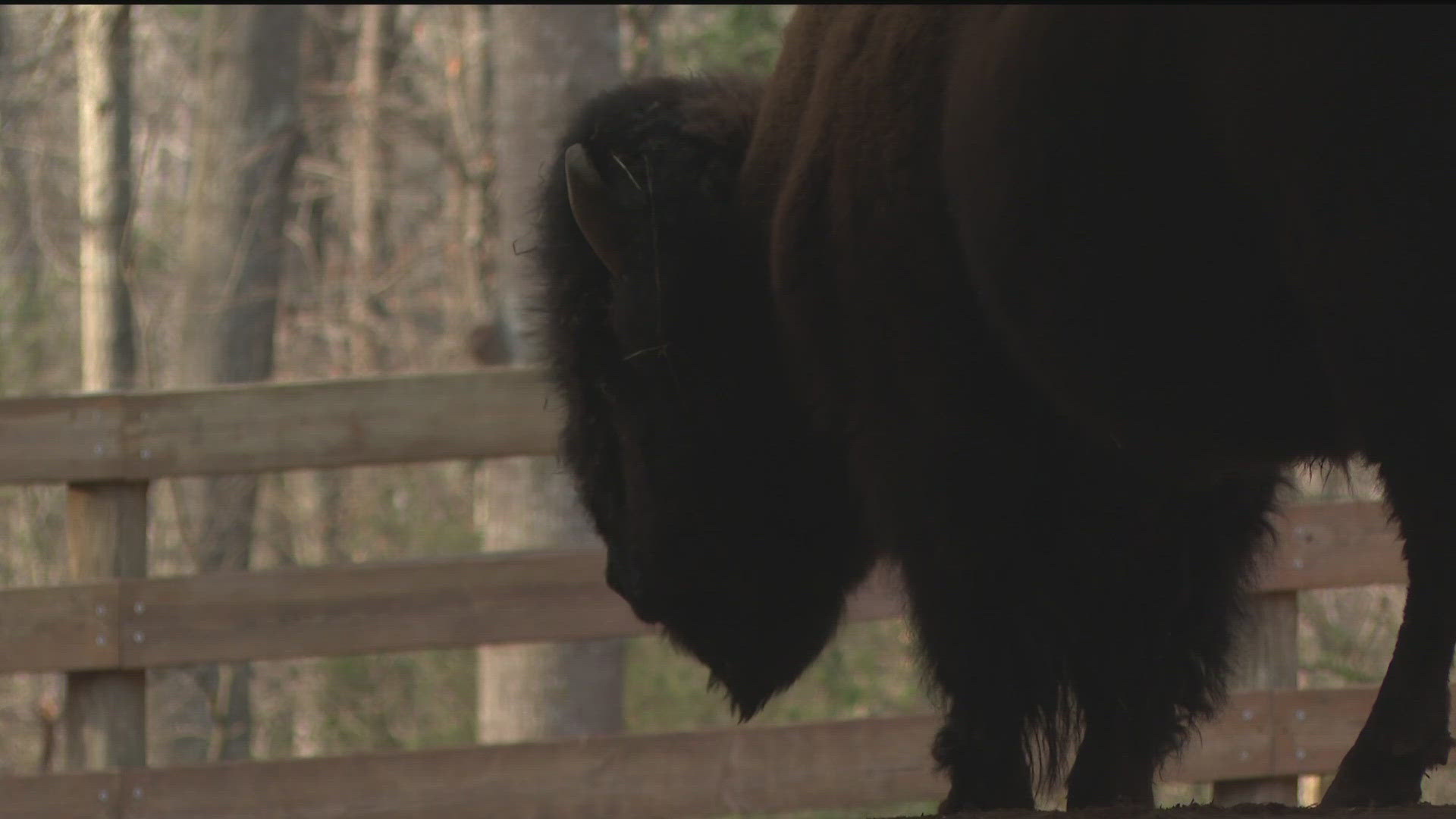 Wildlife sanctuary owner, community members, concerned proposed ...