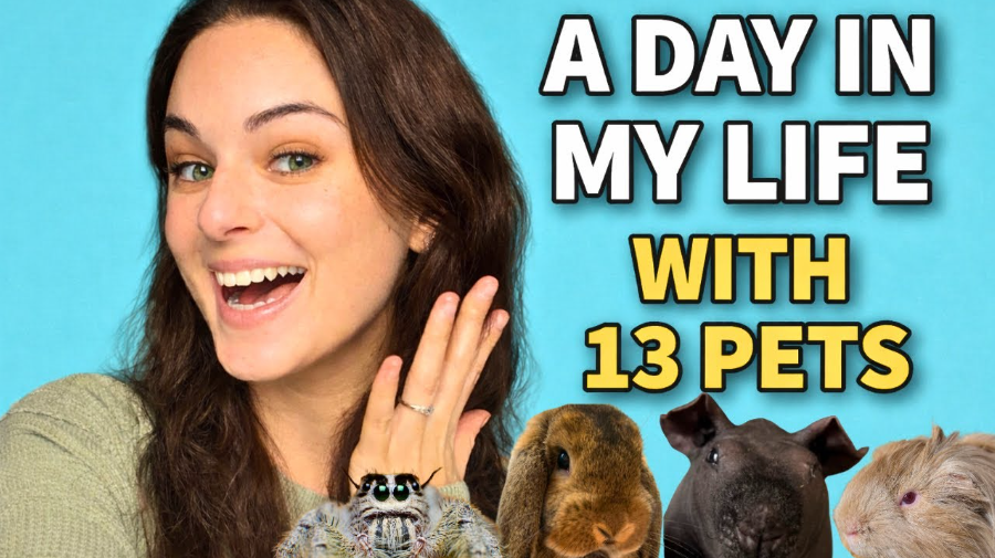 What a day looks like when you have 13 pets