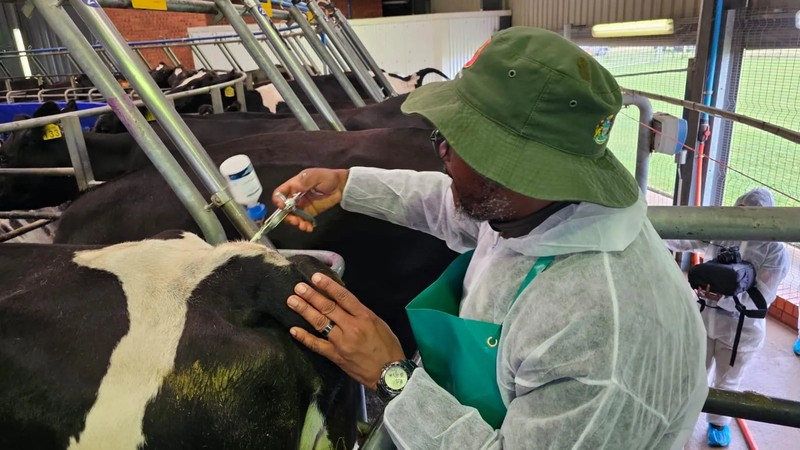 Farmers challenge state control in court over foot-and-mouth disease ...