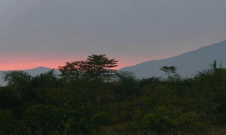 Clima en Jiutepec: viernes 19 de junio con lluvias ligeras y ambiente ...