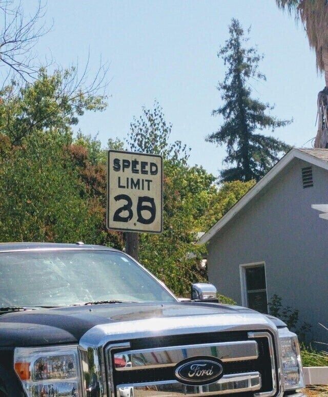 20 pics of common sense biting the dust