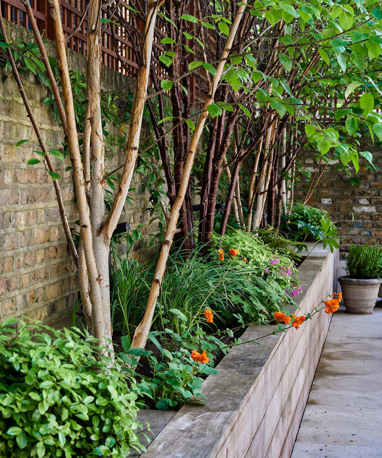 Don’t plant just yet: 7 early March jobs to replenish your raised ...