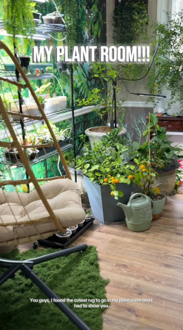 Creative plant room decor with a moss rug