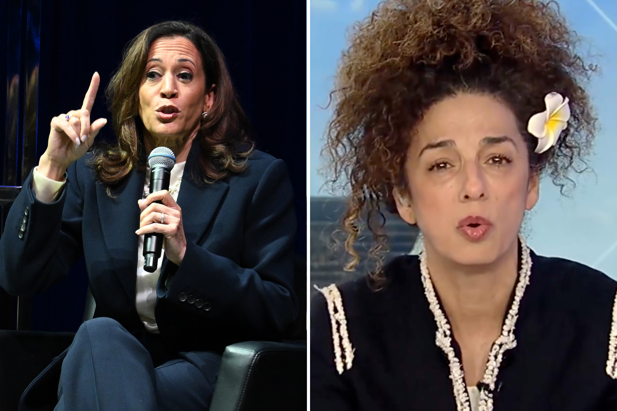 Iranian-American activist torches Kamala Harris over former VP’s ...