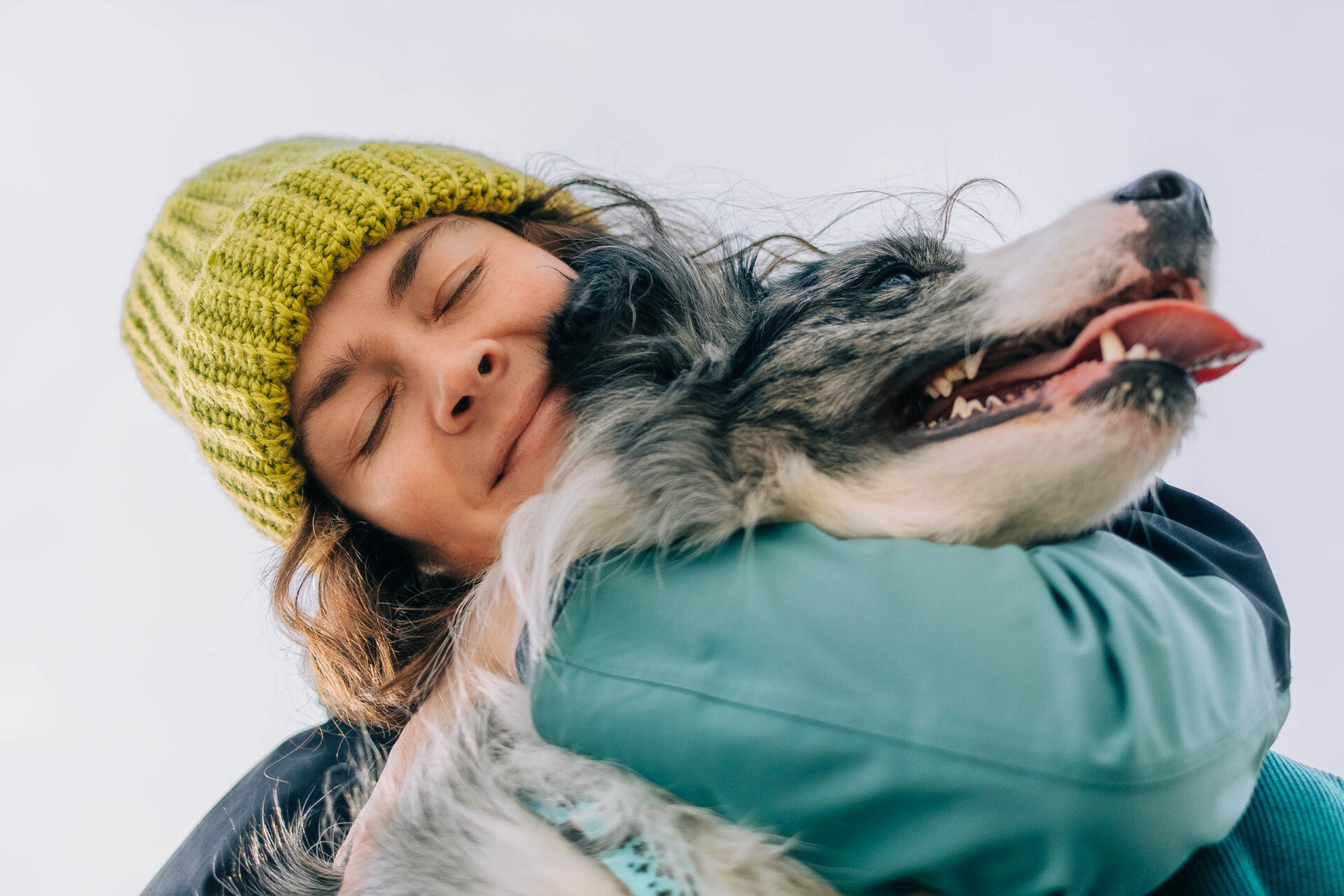 Science reveals the key factors linking dog ownership to increased ...