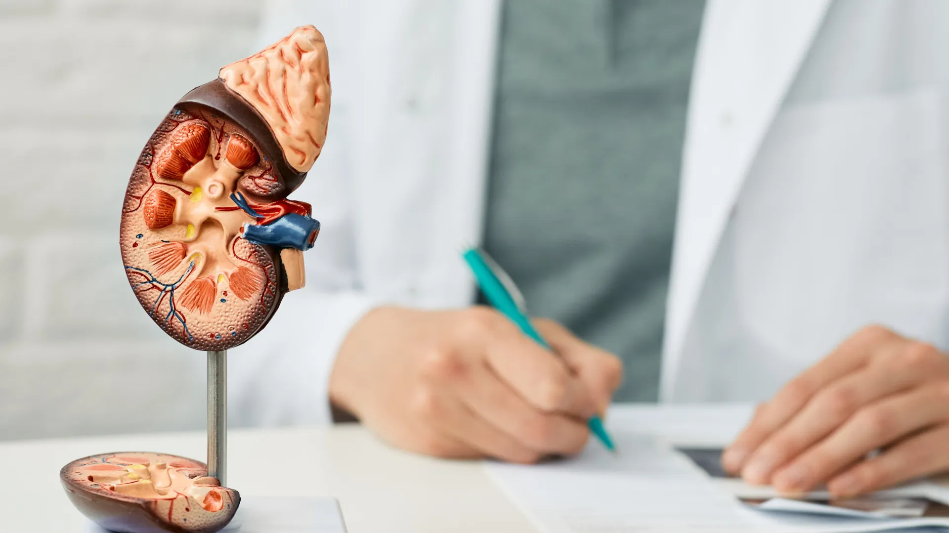 As melhores e as piores bebidas para os rins, segundo nutricionista