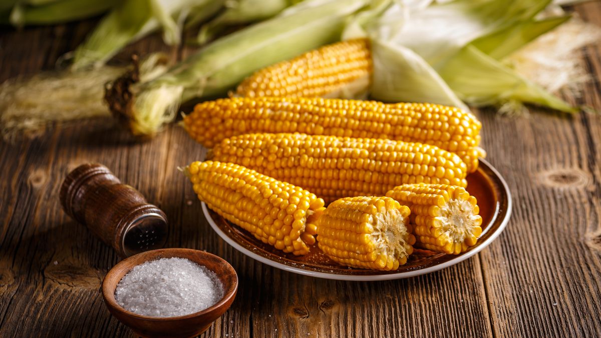 Which country is the largest producer of corn in the world?